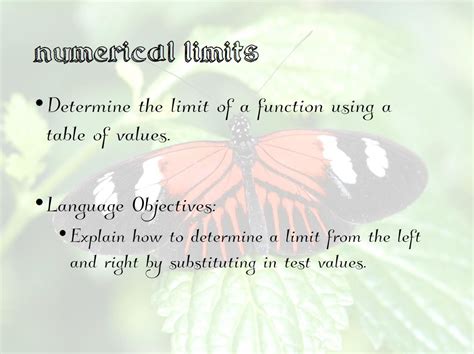 numerical approach to limits i