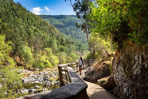 Sessões Online Arouca Geopark