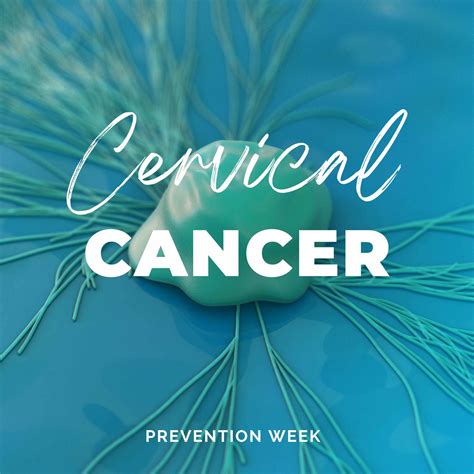 Cervical Cancer Prevention Week The Healthy Life Foundation