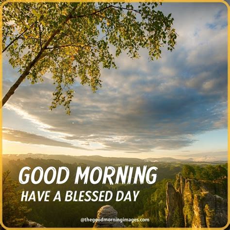 Good Morning Have A Blessed Day Images