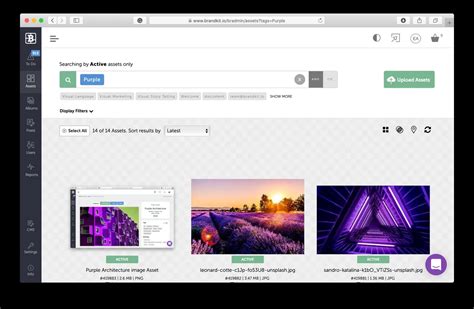 Brandkit Hq Purple Asset Search