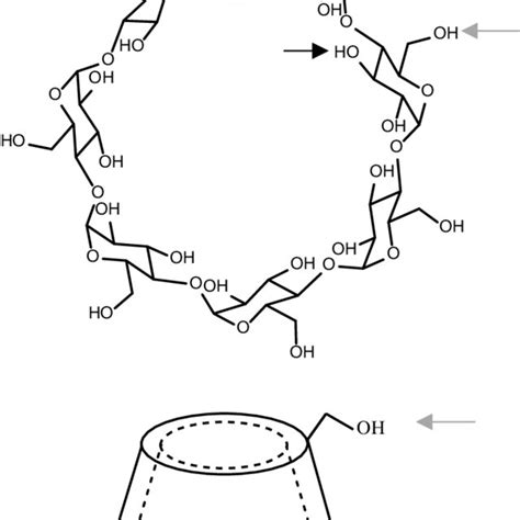 Schematic Representations Of Cyclodextrin The Upper Arrows Indicate