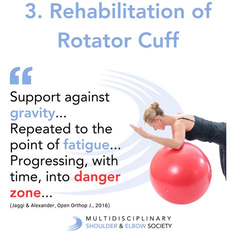 Nonoperative Rehabilitation For Shoulder Instability