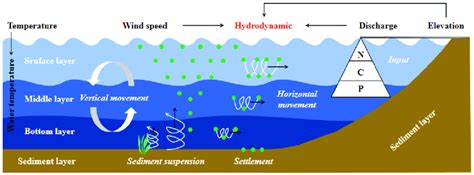Schematic Diagram Of The Relationship Between External Input Conditions