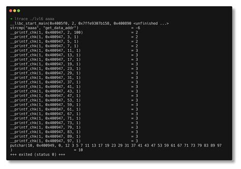 Ctf Challenge Walkthrough From Practical Binary Analysis K4n3ki