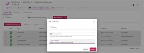 deploying salesforce custom metadata using flexdeploy flexagon