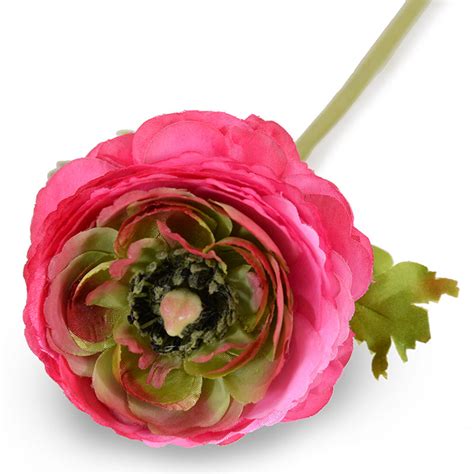 Ranunculus Stem 15l Bright Pink New Growth Designs