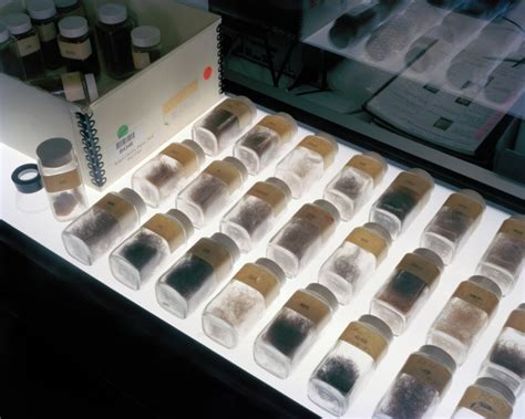 Matthew Leifheit Praxis