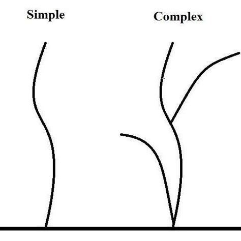 Diagram Of Two Levels Of Complexity Used In Creating Simulated