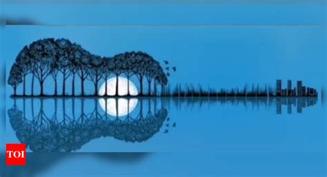 Optical Illusion Are You A Born Leader Or A Hopeless Romantic