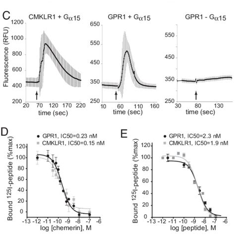 Using The Tango Assay To Profile Adrenergic Receptor Agonists And
