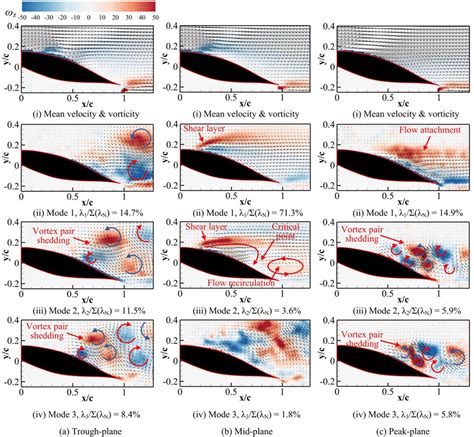I Mean Piv Velocity Vectors With Vorticity Maps And Ii Iv First