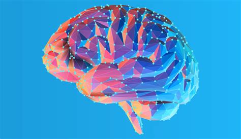 What Part Of The Brain Does TMS Stimulate Mid City TMS