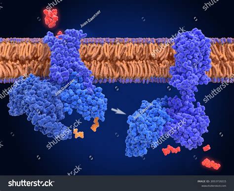 579 챗gtp 이미지 스톡 사진 및 벡터 Shutterstock