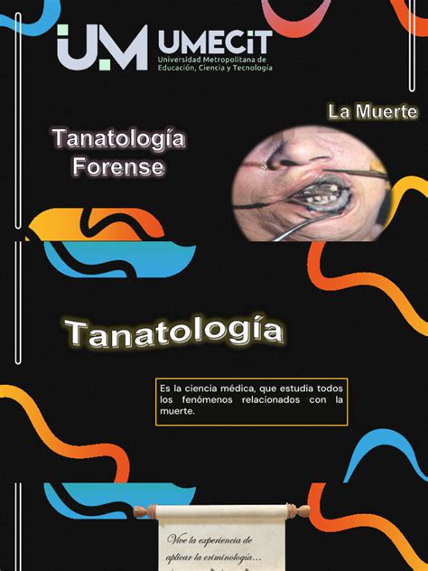 Tanatología Forense Estudio De La Muerte Pdf Muerte Medicina Clinica