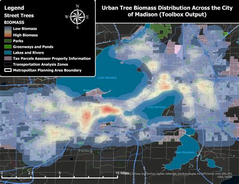 Tree Biomass Calculator Python Toolbox Madison Gis Hotspot