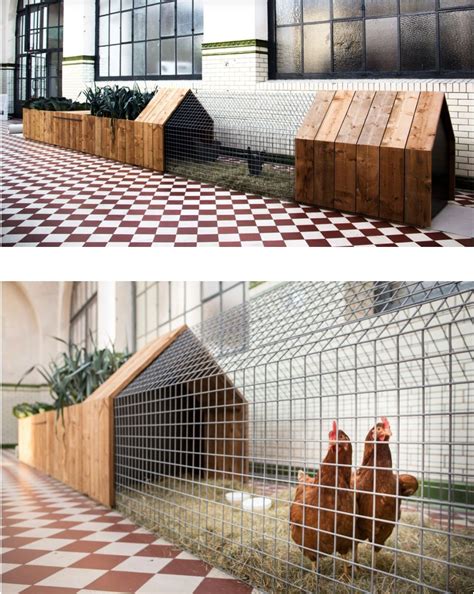 Chicken Garden Backyard Chicken Coops Chicken Coop Plans Chicken