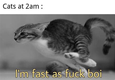 Fml Fml Fml Memes