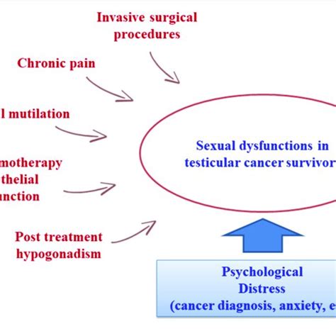 Determinants Of Sexual Dysfunction In Testicular Cancer Survivors