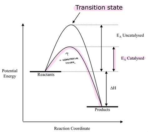 Intro To Homogenous Catalysis Flashcards Quizlet