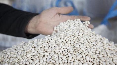 Peri Suyundan Gelen Doğal Su Ile Yetiştiriliyor Doğadaki En Güçlü