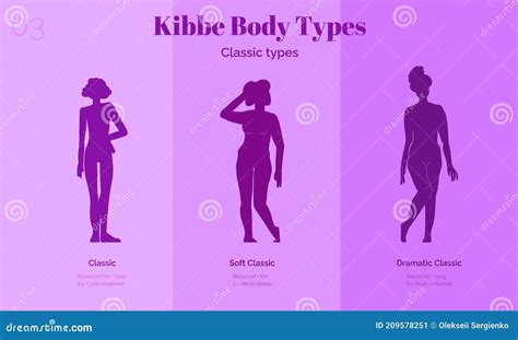 Classic Dramatic Classic Soft Classic Body Types Stock Vector