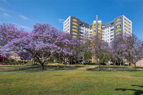 Park La Brea Apartments For Rent In Los Angeles Ca