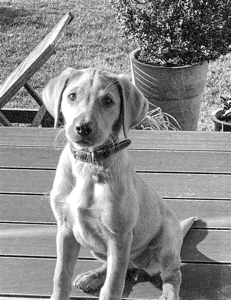 T2 Architects Gracie Tyrrell