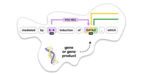 Implementing A Custom Trainable Component For Relation Extraction