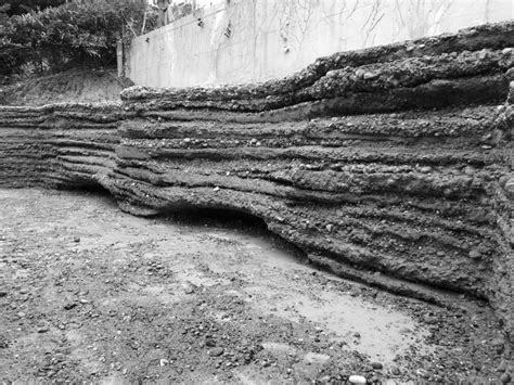 Garden Adliswil 2018 Lehmag