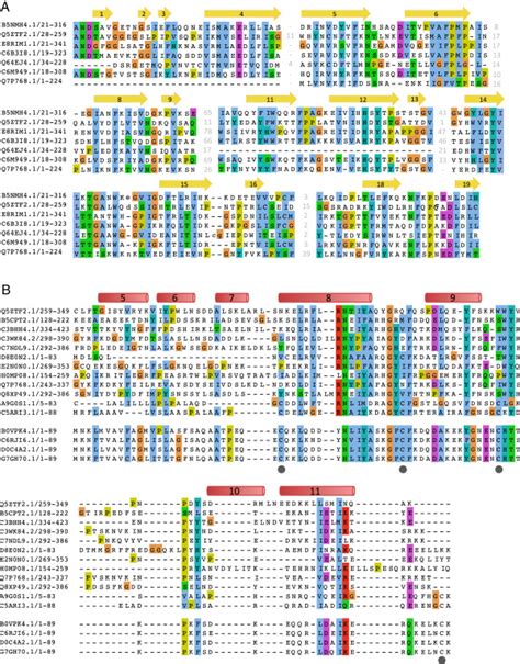 Multiple Sequence Alignments Of Representative Sequences In The Duf4424