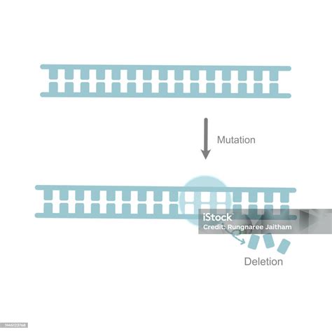 A Picture Showed The Type Of Dna Mutation Deletion Stock Illustration Download Image Now Istock