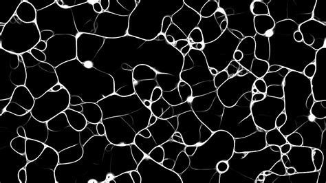 Physarum Transport Network Clean Tox Derivative