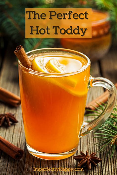 Hot Toddy Recipe With Jim Beam Honey At Abbey Bernal Blog