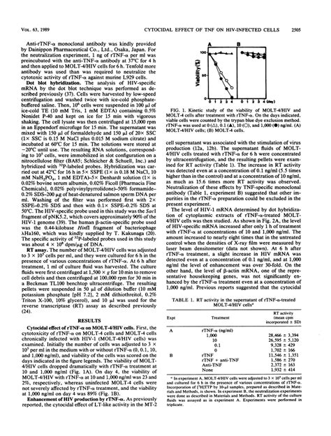 Cytocidal Effect Of Tumor Necrosis Factor On Cells Chronically Infected