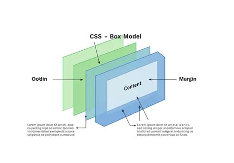 Css Box Model Explained Visual Guide And Online Editor Htmlviewercc