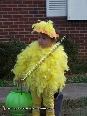 Cute Homemade Chicken Costume