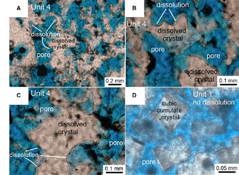 Thin Section Photomicrographs Of Cumulate Halites From Section S2