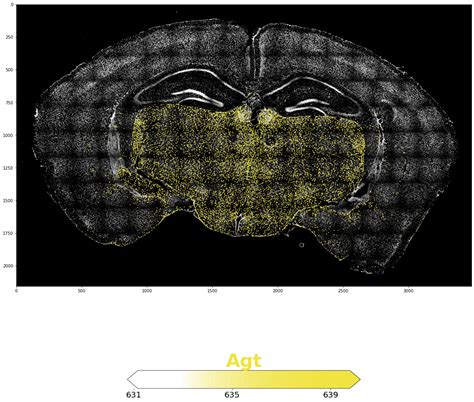 Using Fullres Image In Scanpy Pl Spatial Issue Scverse Scanpy GitHub