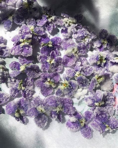 Candy Violets For Mothers Day