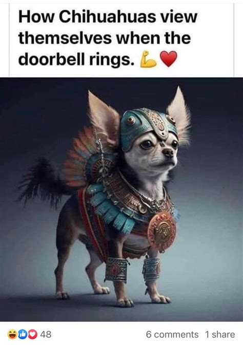 Susan Gabriel Author Substack