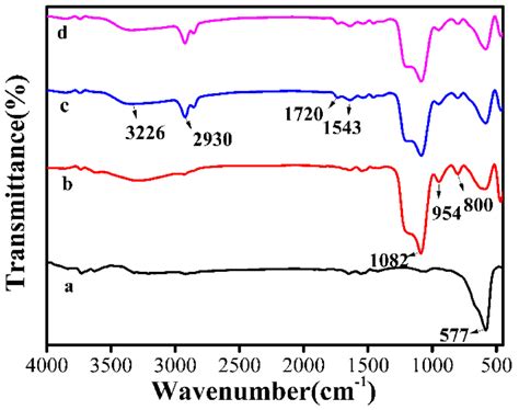 Synthesis And Properties Of Cefixime Coreshell Magnetic Nano
