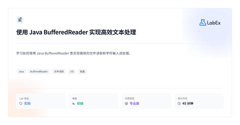 Java Bufferedreader 教程 高效文件读取 Labex