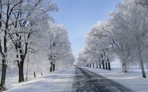 Snow Trees Road Hd Wallpapers Wallpaper Cave