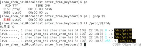 linux让终端只接受键盘输入 shell模拟键盘输入 csdn博客