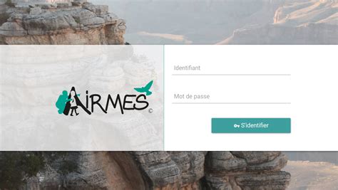 Airmes Applicationeu See Bug Description · Issue 120233 · Webcompatweb Bugs · Github