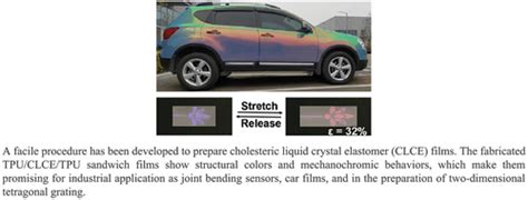 Facile Fabrication Of Patternable And Large Area Elastic Liquid Crystal Polymer Films Liquid