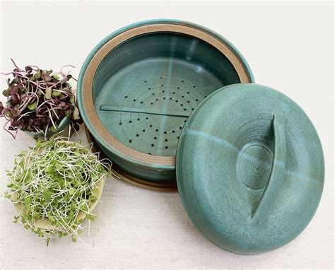 Ceramic Sprouter Sprouting Kit Make Your Own Sprouts Etsy