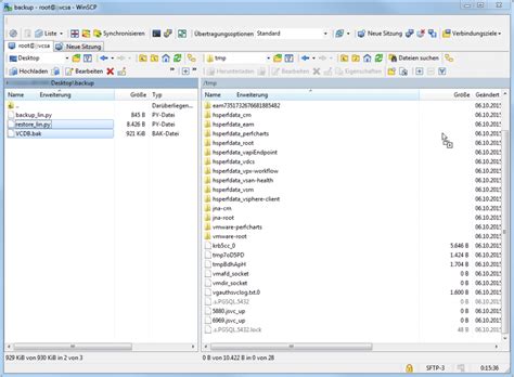 Restore VCSA VPostgres Database Roles And Permissions Gansercom
