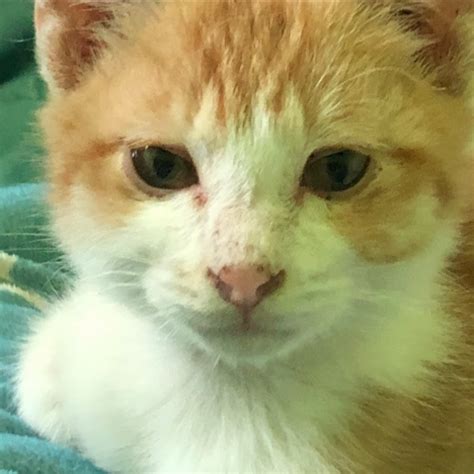 진유영 Yoo Young Youtube